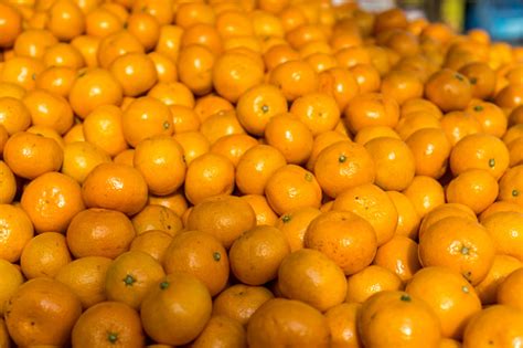 Jeruk Mandarin Kecil Foto Stok Unduh Gambar Sekarang British Columbia Buah Buah Jeruk Istock