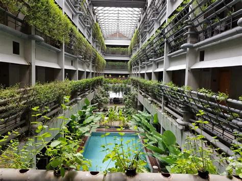 Why Hotels Should Start Hydroponic Farms Asap Pure Greens Custom