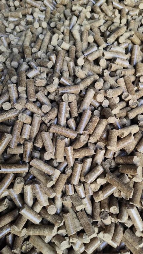 16 Mm Groundnut Pellet At Rs 8 Kg Varachha Surat Id 2854359360330