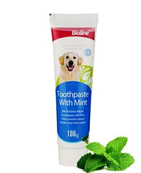 Bioline Toothpaste Mint 100g Lazada Ph