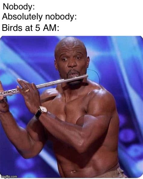 Flute Player Memes 11 Things They Didnt Tell You About Playing The