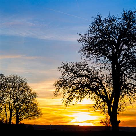 Zenith Resourcing Recruitment Specialists