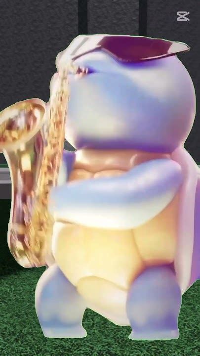 꼬북이 연주 Youtube