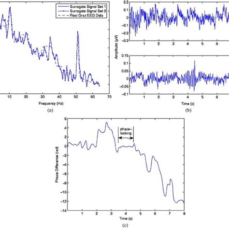An Illustration Of How The Artificial Data With Phase Locking In A Download Scientific Diagram