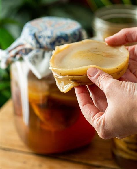 Biogroupe Boissons And Desserts Bio Homemade Kombucha Kombucha Scoby