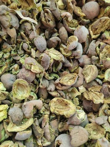 Baheda Chilka Botanical Name Terminalia Bellirica Packaging Size