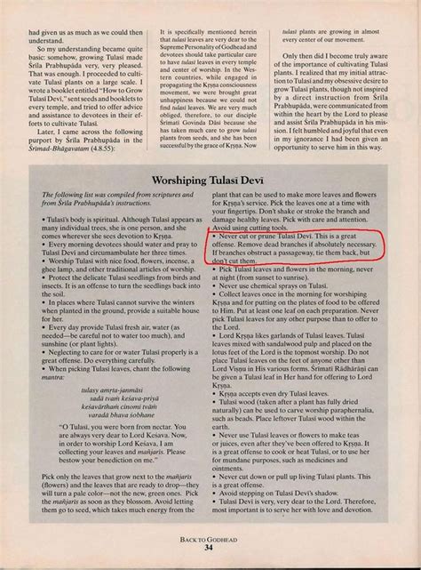 Pin On Tulsi Devi Tulasi Plant Tulsi Srila Prabhupada