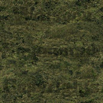 Seamless Terrain Texture