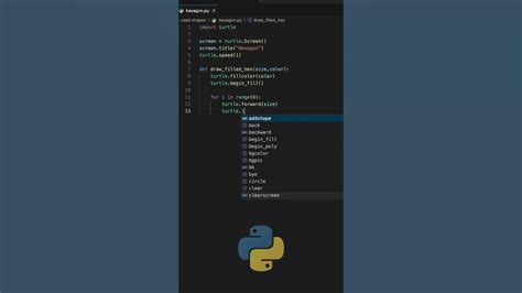 progamming with asmr guru hexagon with python shorts