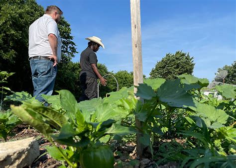 Fsa Investing In Resilience