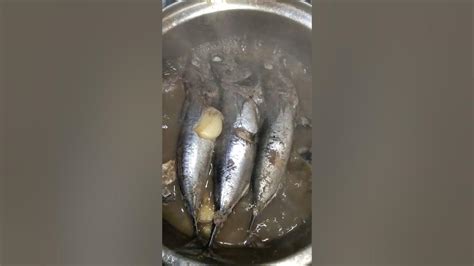 Inon Onan Binohol Youtube