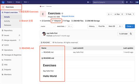 Hello World In Gitlab 一家数据科技公司