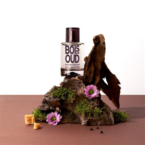 Bois De Oud 50ml Solinotes
