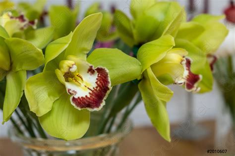 Purple And Green Orchid Bouquet