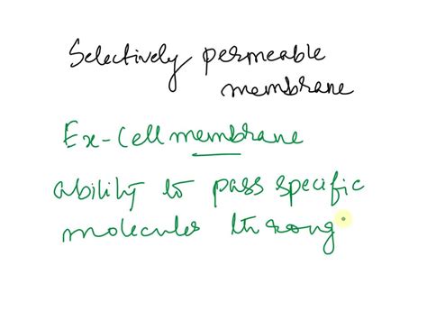Solved What Is A Selectively Permeable Membrane