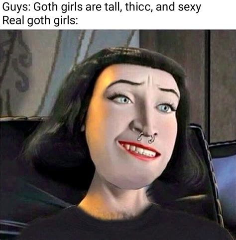 Latest Memes New Memes Memedroid