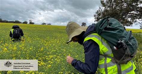 The Plant Pest Sample Collection Australian Biosecurity