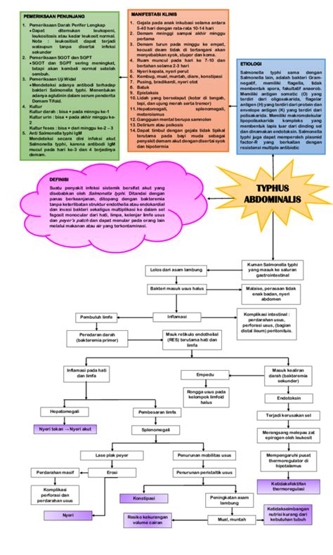 Doc Woc Typhus Abdominalis