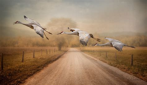 Sandra Corless — North Valley Studio Tour