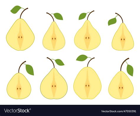 Pear Set Isolated On White Background Halves Vector Image