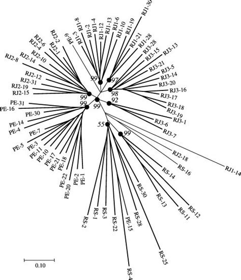 Radial Dendrogram Generated By Neighbour Joining Method Based On The