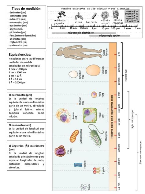 Macro Y Micro Pdf
