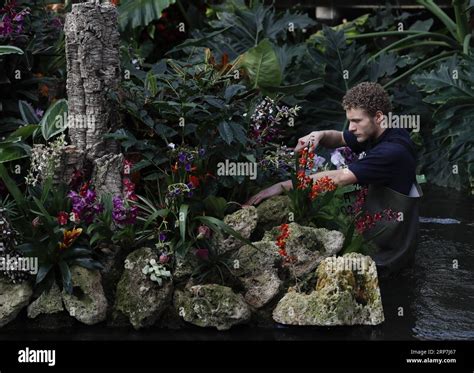 190207 Londres 7 Février 2019 Xinhua Michael Antonetti