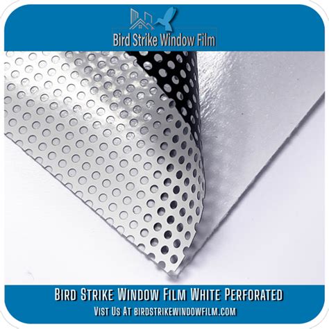 Products Bird Strike Window Film