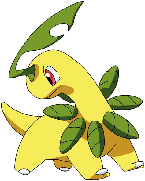 Bayleef Sonic Pokémon Uni Pedia Wiki Fandom
