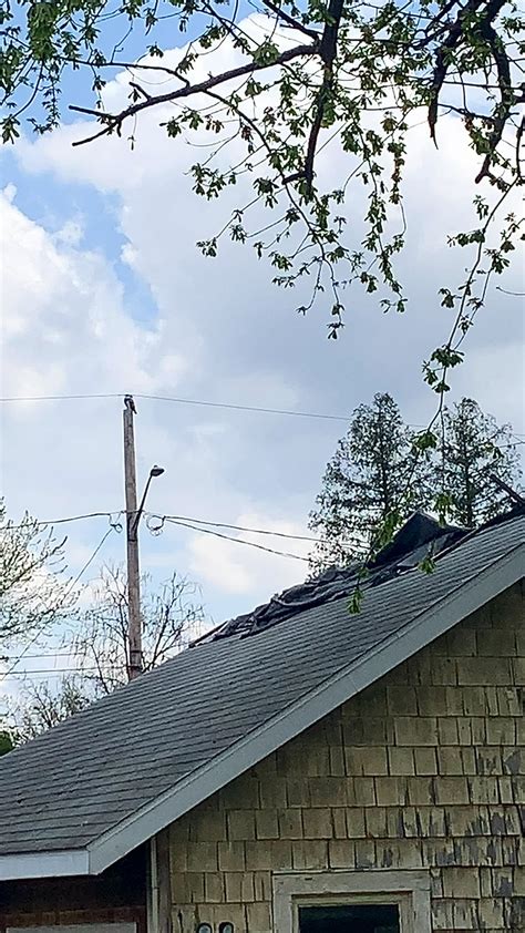 Crows Mobbing A Hawk On The Telephone Pole Rcrowbro
