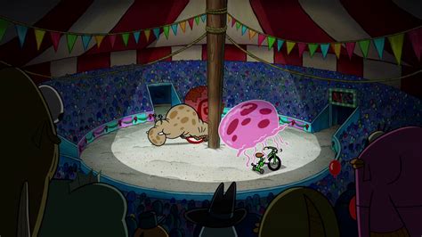 Circus Gallery Encyclopedia Spongebobia Fandom