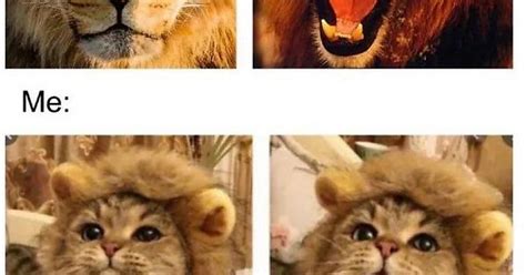 Theres Some Good In This World Mr Frodo And Its Worth Fighting For A Wholesome Post To