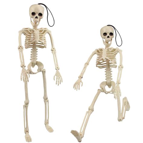 Memovan Mini Skeleton Model 16 Halloween Skeleton Small Full Body