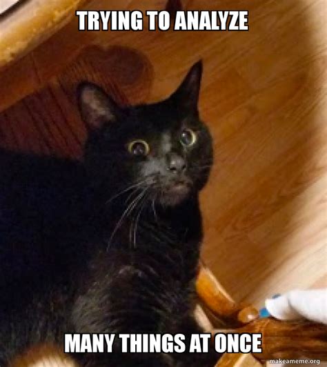 Trying To Analyze Many Things At Once Meme Generator