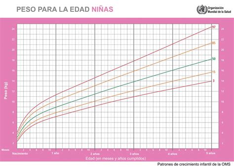 Percentiles De Talla Y Peso En Bebés Niños Y Niñas ¿qué Son Y Cómo