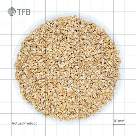 Kibbled Wheat Hard Tfb Trading