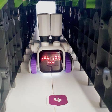Robot Edek Zestaw 3 Remi