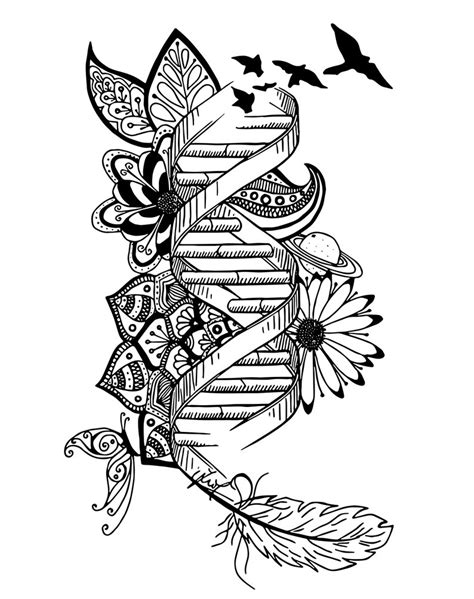 Dna Drawing At Explore Collection Of Dna Drawing