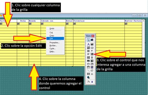 Agregar Controles A Las Columnas De Una Grilla Visual Foxpro