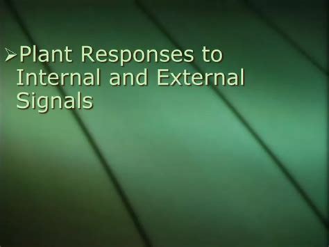 Ppt Plant Responses To Internal And External Signals Powerpoint Presentation Id388213