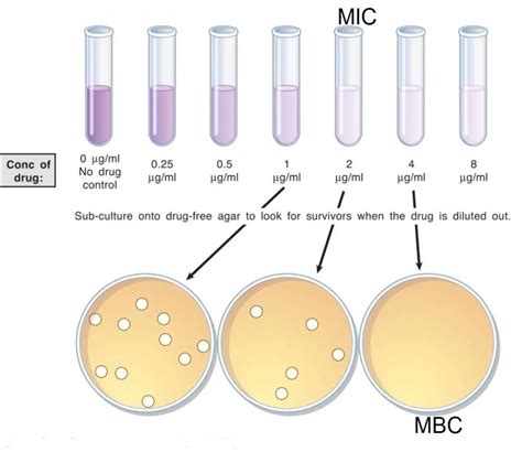 Minimum Inhibitory Concentration Mic And Minimum Bactericidal