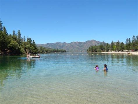 High Levels Of E Coli Found In Whiskeytown Lake Active Norcal