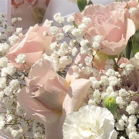 Flores Flowers Flower Aesthetic Pastel Pink Aesthetic Pink Flowers