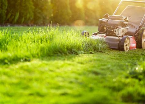 5 Innovative Uses For Your Lawn Mower Beyond Cutting Grass