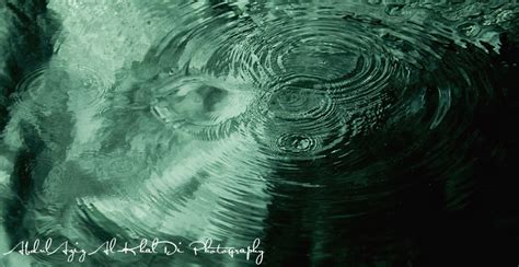 Alkhaldi Photos On Flickr Flickr