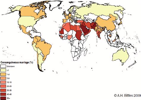 Consanguinity Map