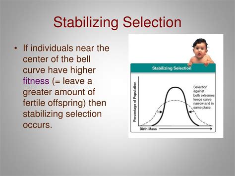 Ppt Evolution Powerpoint Presentation Free Download Id2480767