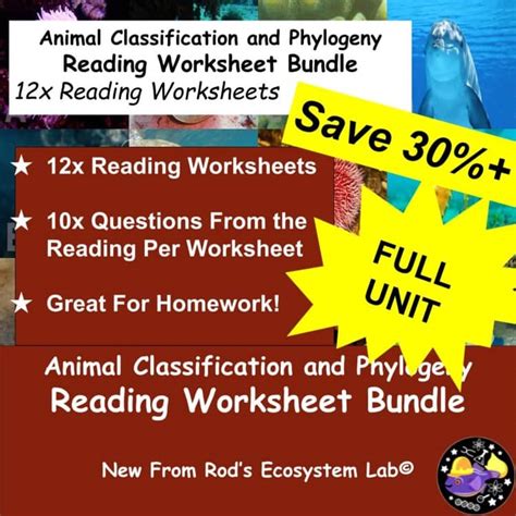Animal Classification And Phylogeny Unit Reading Worksheet Bundle