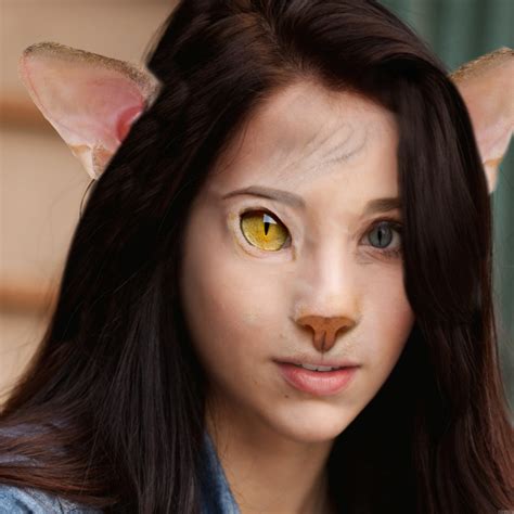 Cat Tf By Siiop On Deviantart