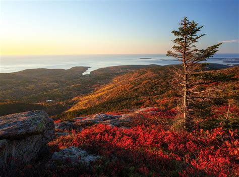 When Is Fall Foliage In Acadia National Park At Toni Edith Blog